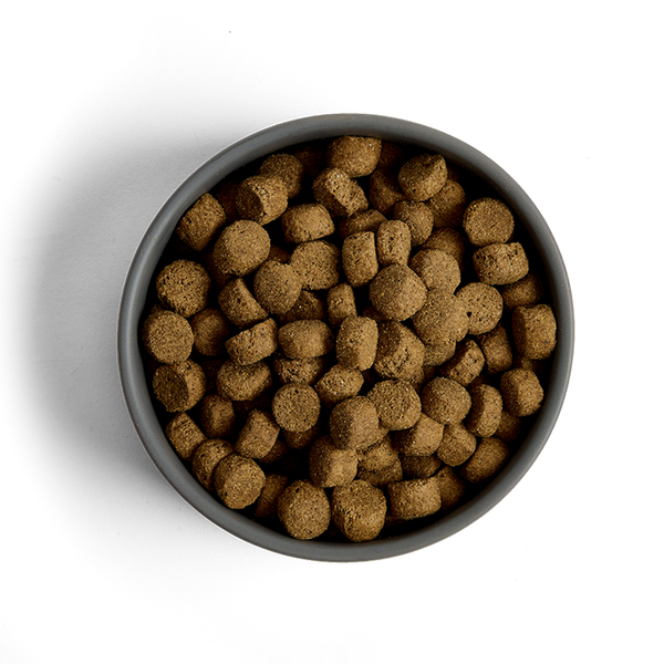 MORE Digestion Chicken All Breed Dog Dry Food – naturalworldpets