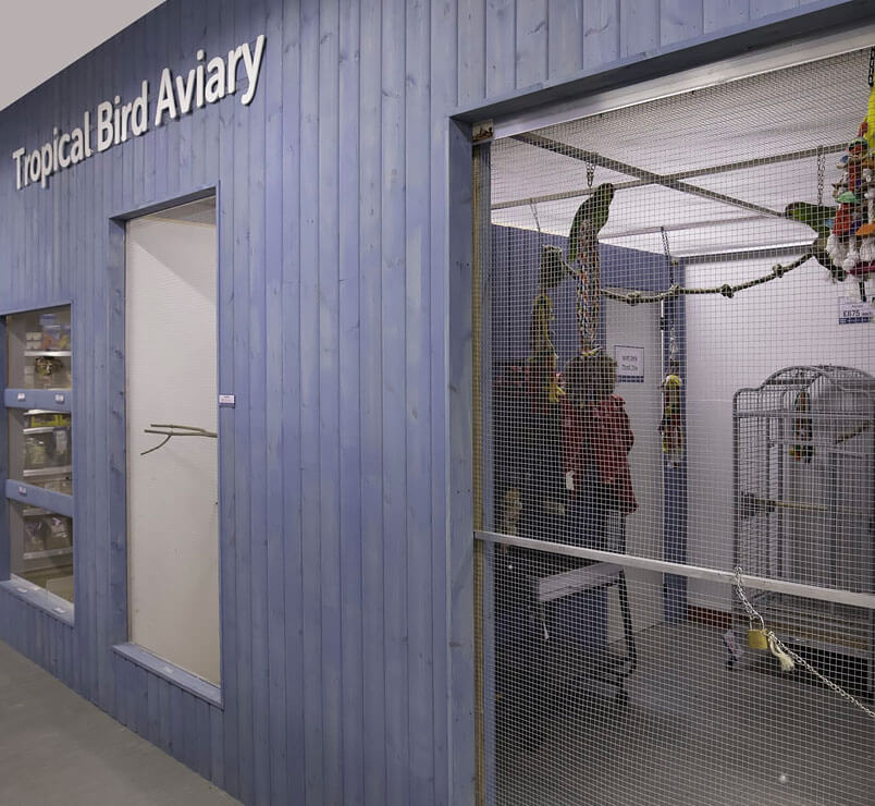 Bird Experts - Food and accessories for your feathered friend ...